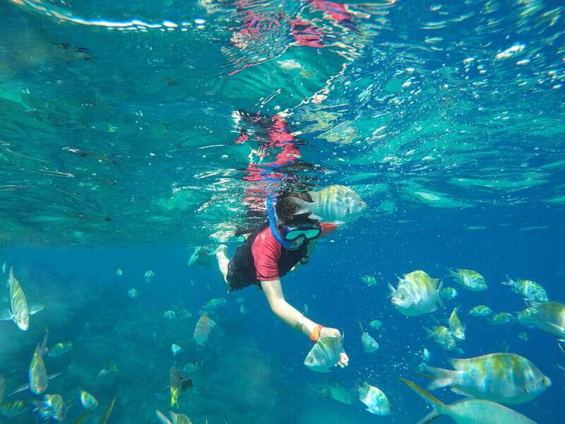 Cabo San Lucas: Snorkel, Paddle-board, and/or Kayak Tour - FAQ