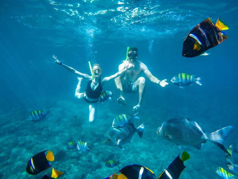 Cabo San Lucas: Snorkel Tour with Open Bar & Snacks - The Itinerary: What to Expect on Your Cabo Snorkel Tour