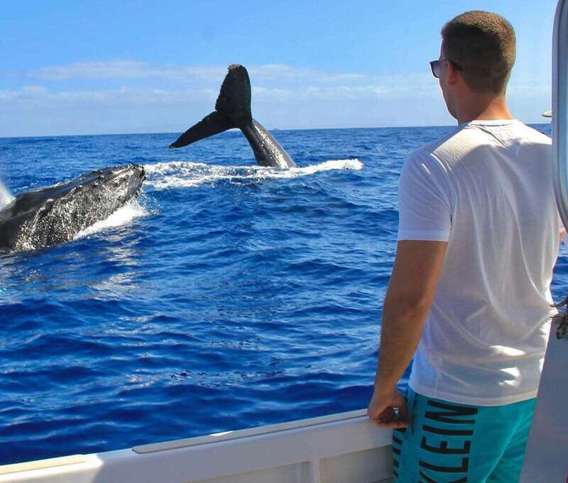 Cabo San Lucas: Snorkel Tour with Open Bar & Snacks - Final Thoughts