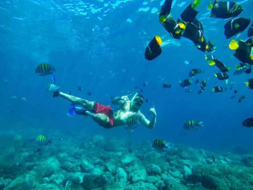 Cabo San Lucas: Snorkel Tour with Open Bar & Snacks - FAQ