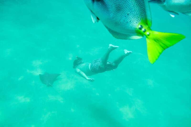 Cabo San Lucas: Snorkeling at Lovers Beach - Authentic Underwater Encounters