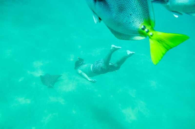 Cabo San Lucas: Snorkeling at Lovers Beach - Final Thoughts