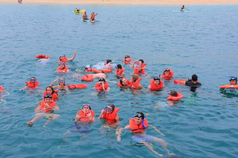 Cabo San Lucas: Snorkeling, Tacos and Chileno Bay Boat Tour - Key Points