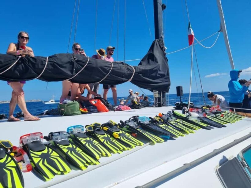 Cabo San Lucas: Snorkeling, Tacos and Chileno Bay Boat Tour - Who Will Love This Tour?