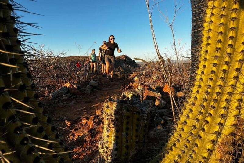 Cabo San Lucas: Todos Santos Sunset Hike - Practical Details: What’s Included and What to Expect