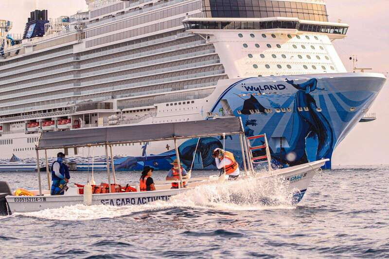Cabo San Lucas: Tour al Arco en Barco Fondo de Cristal - The Experience in Detail