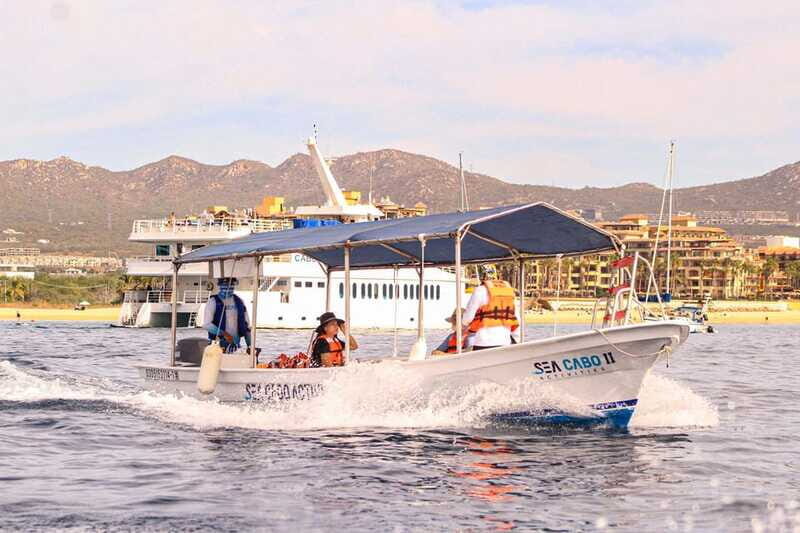 Cabo San Lucas: Tour al Arco en Barco Fondo de Cristal - The Sum Up