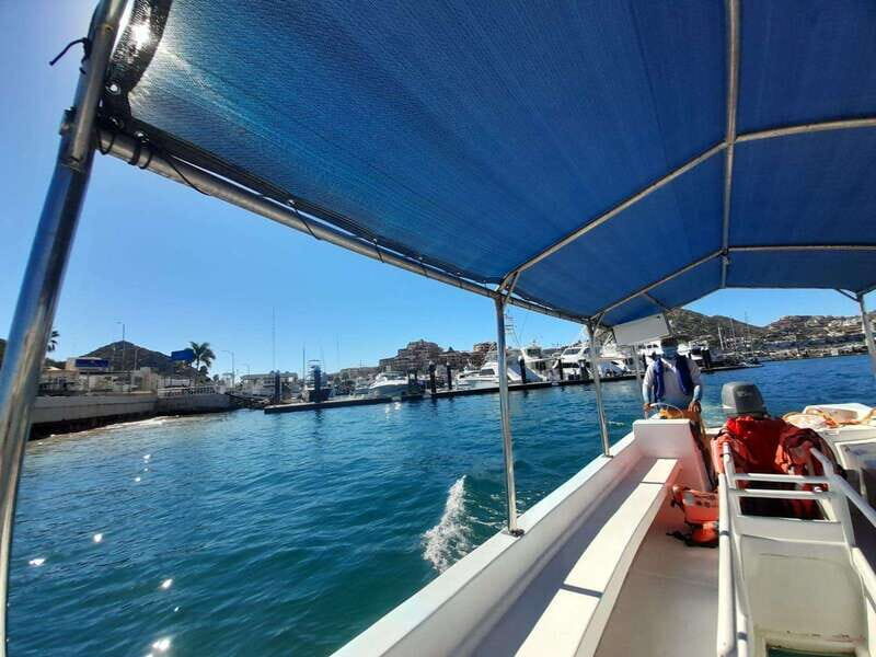 Cabo San Lucas: Tour al Arco en Barco Fondo de Cristal - FAQ