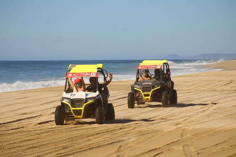 Cabo San Lucas: Tour en UTV playa desierto y tequila tasting - Authentic Experiences and Traveler Feedback