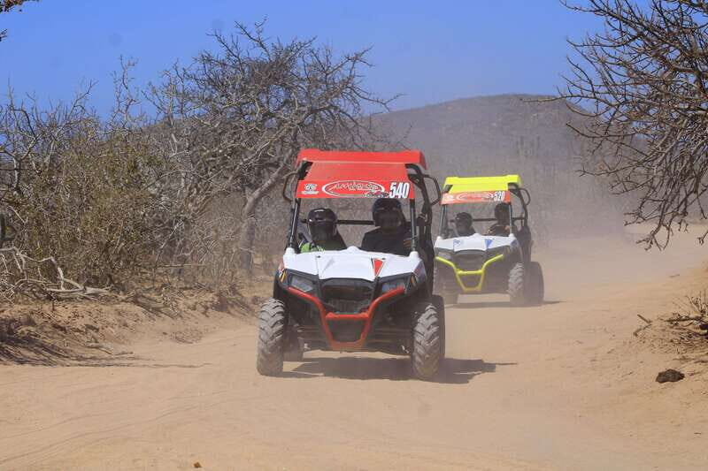 Cabo San Lucas: Tour en UTV playa desierto y tequila tasting - FAQs
