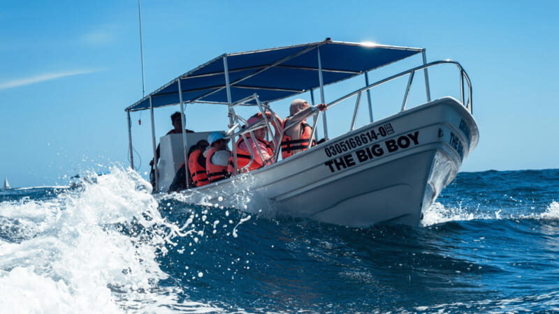 Cabo San Lucas: Tour paseo al Arco + bajada en playa - Key Points