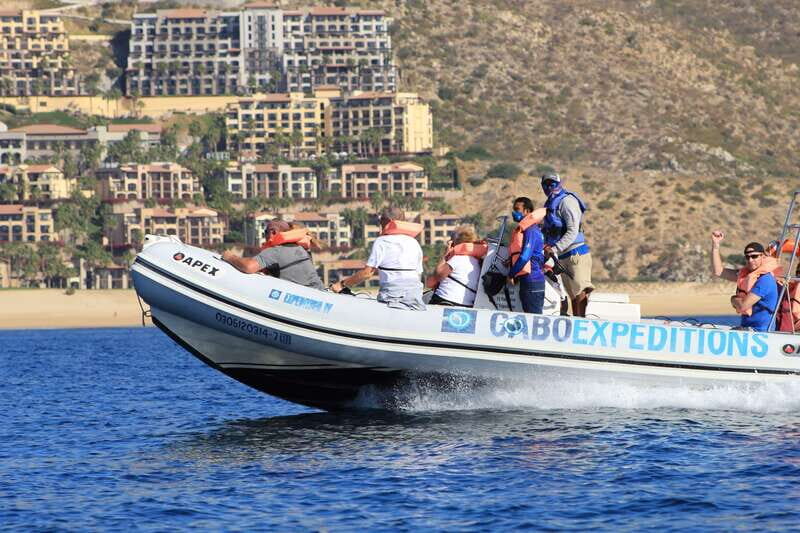 Cabo San Lucas: Up-Close Whale Watching Small-Group Tour - An Up-Cclose Look at the Experience