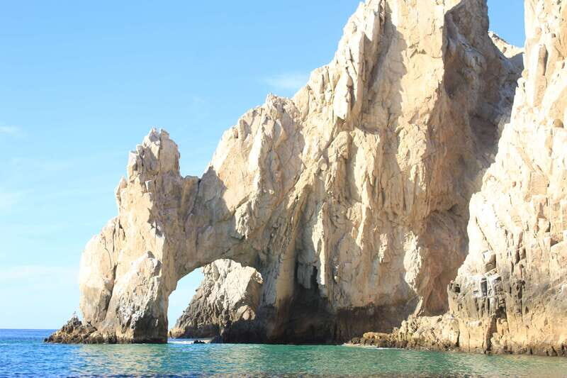 Cabo San Lucas: Up-Close Whale Watching Small-Group Tour - What Travelers Are Saying