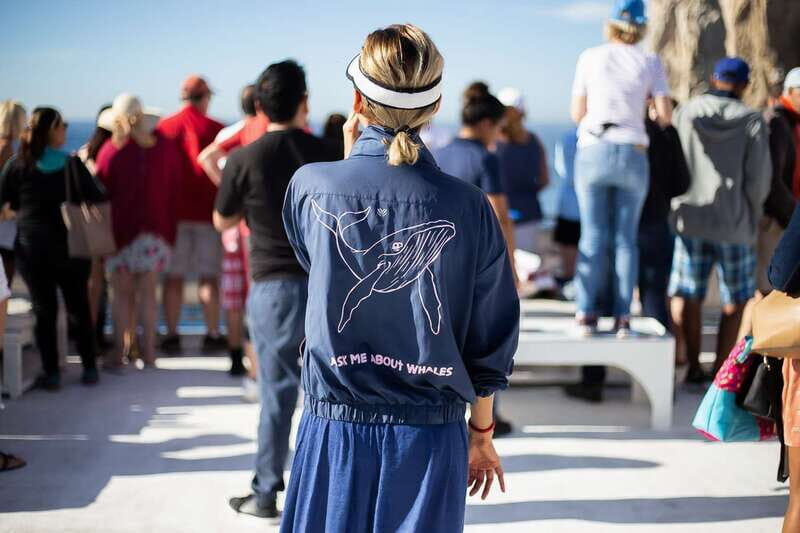 Cabo San Lucas: Whale Watching Breakfast Cruise - Practical Considerations