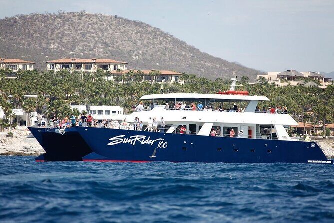 Cabo San Lucas Whale Watching Lunch Cruise - The Itinerary Breakdown: What to Expect on the Water
