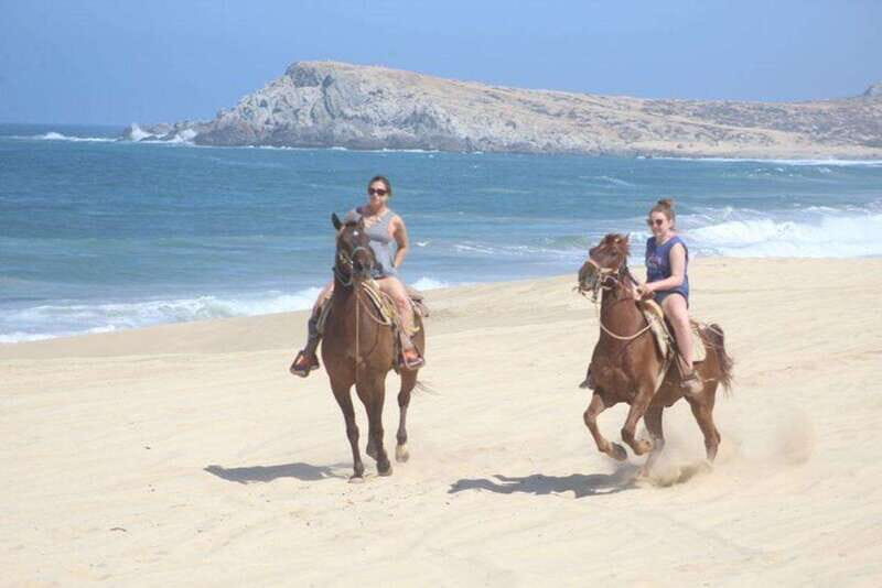 Cabo San Lucas: White Sand Horseback Adventure - The Experience: A Closer Look at the White Sand Horseback Adventure