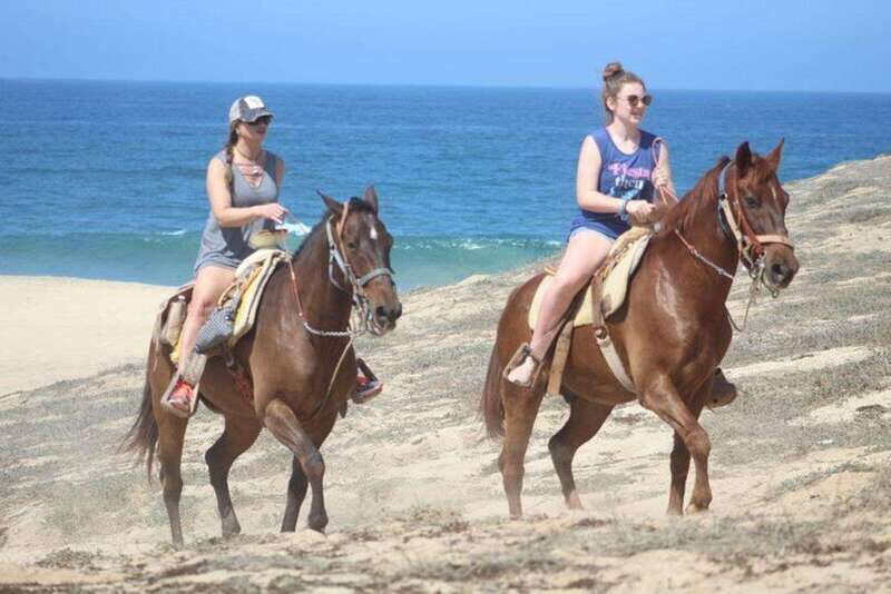 Cabo San Lucas: White Sand Horseback Adventure - What Travelers Say
