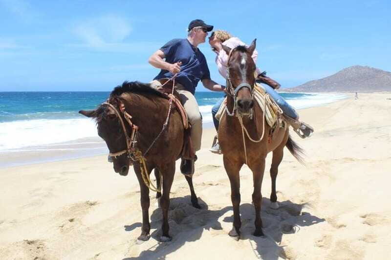 Cabo San Lucas: White Sand Horseback Adventure - Who Will Love This Tour?