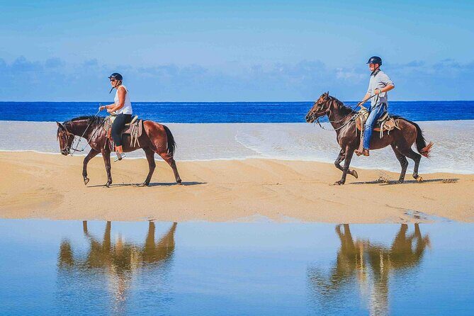 Cabo Shore Excursion: Beach Horseback Ride & Tequila Tasting - An In-Depth Look at the Experience