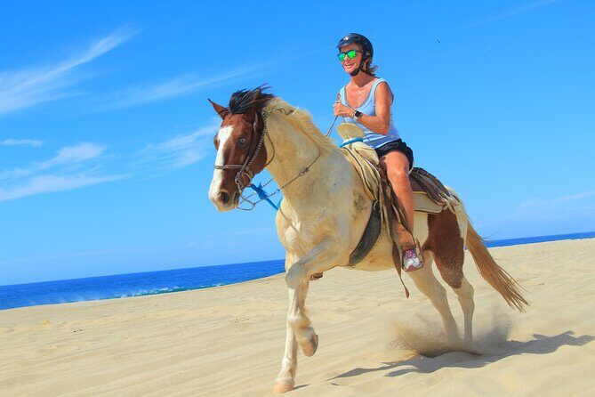 Cabo Shore Excursion: Beach Horseback Ride & Tequila Tasting - Why Choose This Tour?