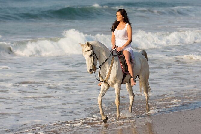 Cabo Shore Excursion: Beach Horseback Ride & Tequila Tasting - FAQ