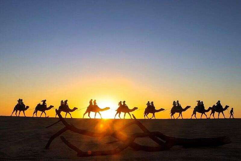 Cabo: Sunset Camel Ride and ATV Combo Adventure - Key Points