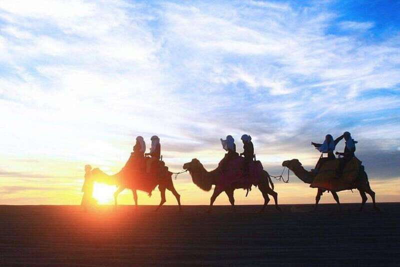 Cabo: Sunset Camel Ride and ATV Combo Adventure - What Travelers Say