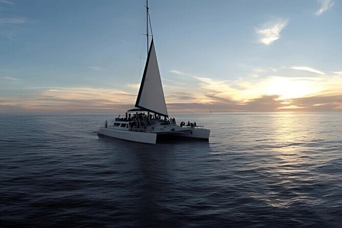Cabo Sunset Catamaran Cruise: El Arco & Open Bar Experience - Final Thoughts: Is It Worth It?