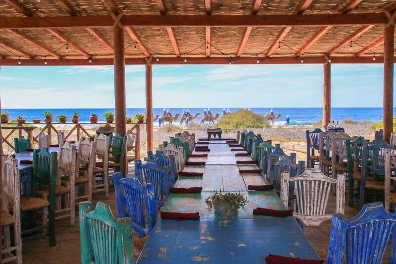 Cabo: Todo Santos Tour with Camel Ranch, Tequila and Lunch - The Camel Experience at Tierra Sagrada Ranch