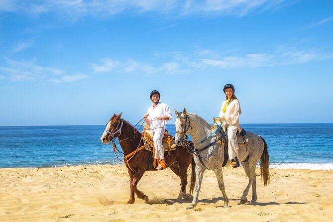 Cabo Tour Mexico Camel and Horseback Ride with ATV Adventure - The Sum Up