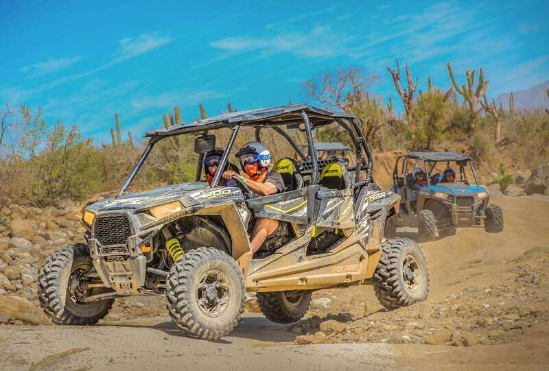 Cabo : UTV and Camel Ride in the Desert - An In-Depth Look at the UTV and Camel Ride Tour