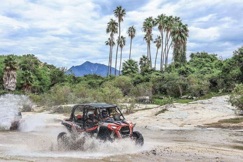 Cabo: UTV Off-Roading, Mexican Lunch, and Tequila - The Details That Matter