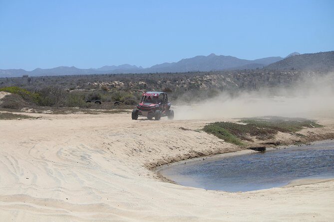 Cabo Wild Desert Tour, Polaris ATV or Razor Single, Double, Triple or Quad! - What the Reviews Say