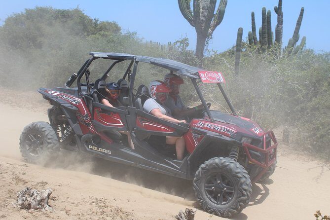 Cabo Wild Desert Tour, Polaris ATV or Razor Single, Double, Triple or Quad! - Summary: Is It Worth It?