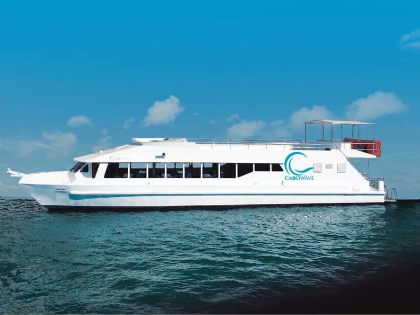Cabos: Cabo Wave Cruise with Snorkeling, Lunch & Open Bar - The Sum Up