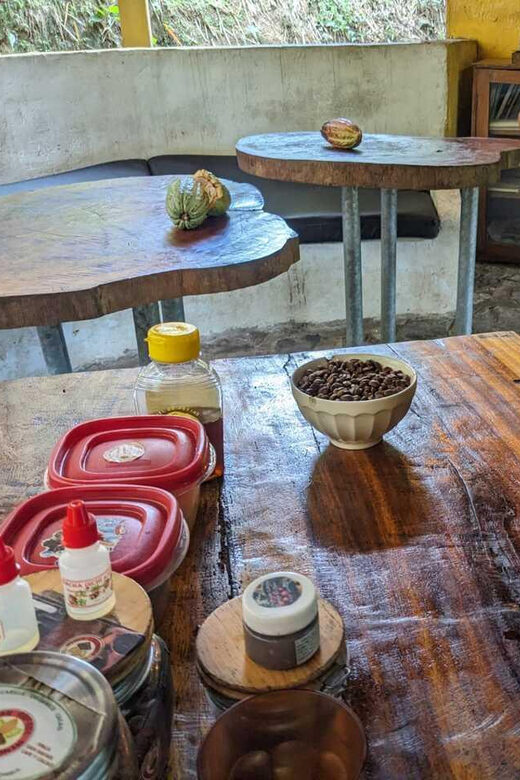 Cacao and Coffee Tour - A Detailed Look at the Cacao and Coffee Tour Experience