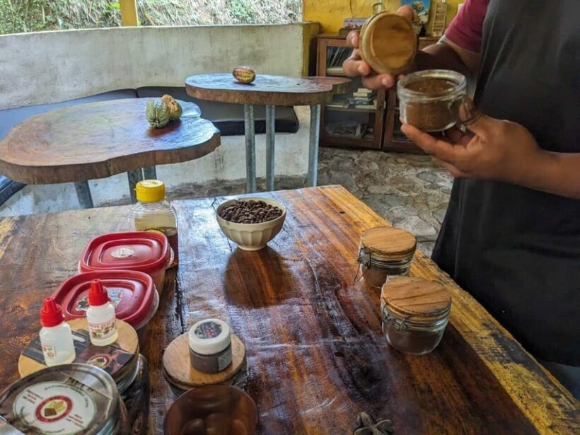 Cacao and Coffee Tour - The Sum Up