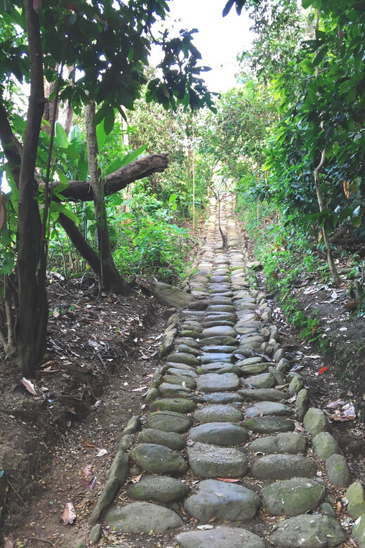 Cacao Experience Tour - Introduction