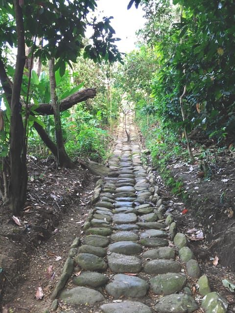 Cacao Experience Tour - What the Reviews Say