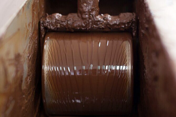 Cacao Plantation and Chocolate Factory Tour- Classic - Who Should Book This Tour?