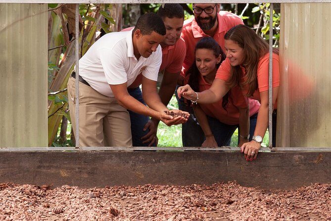 Cacao trail and making of chocolate tour from Santo Domingo - Frequently Asked Questions