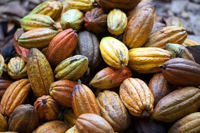Cacao trail and making of chocolate tour from Santo Domingo - Final Thoughts