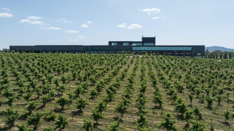 Cáceres: Bodegas Habla - Reviews and Visitor Feedback