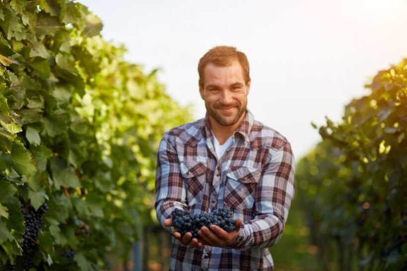 Cáceres: Winery Tour and Wine Tasting with Local Guide - The Practical Details