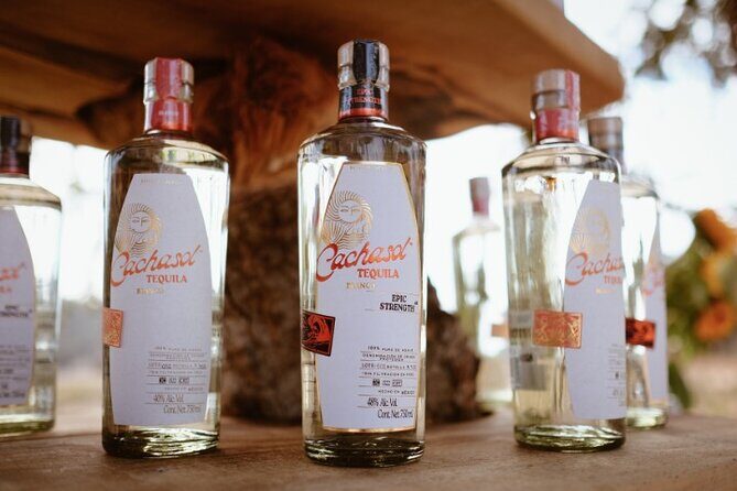 Cachasol Raicilla and Tequila Tour - An In-Depth Look at the Cachasol Raicilla and Tequila Tour