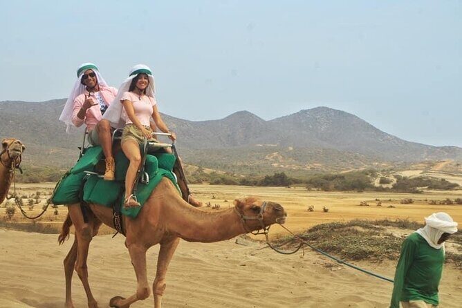 Cactus Combo Combine two of your favorite desert tours - FAQ