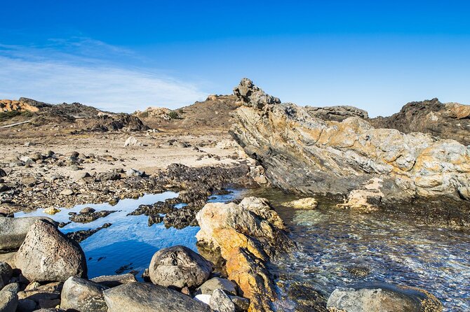 Cadaqués Boat Tour Review: Scenic Adventure Awaits - Customer Feedback and Experiences