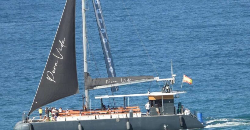 Cadiz: Bay of Cadiz Catamaran Tour with Host - What Youll Experience on the Water