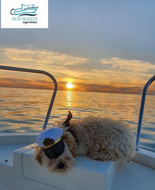 Cadiz Bay: Sunset boat tour "Fall in Love" - Authentic Experiences and Testimonials
