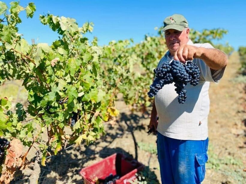 Cadiz: Countryside Finca Ecological Wine Tasting - The Cost and Value
